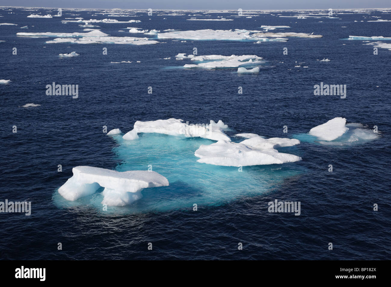 Ice floe in the Canadian Arctic Stock Photo - Alamy