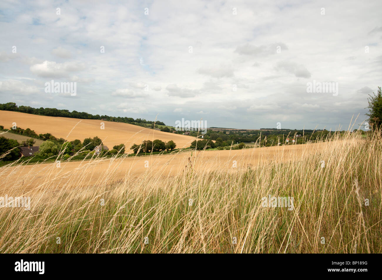 The north downs way kent hi-res stock photography and images - Alamy