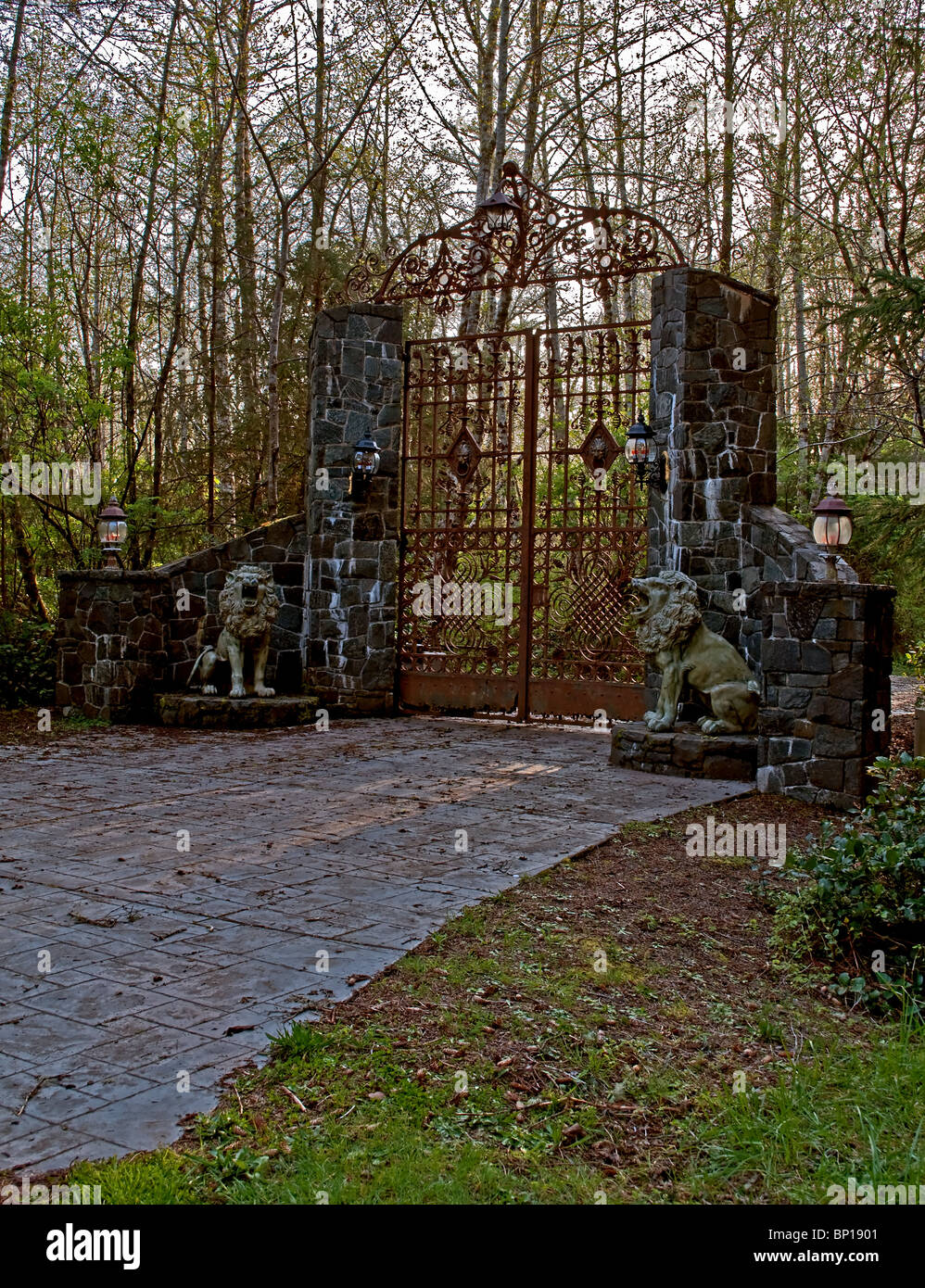 Lions guarding hi-res stock photography and images - Alamy