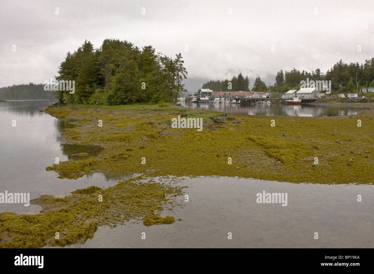Intertidal harbor, Tlingit village of Klawock, Tlingit Native village ...