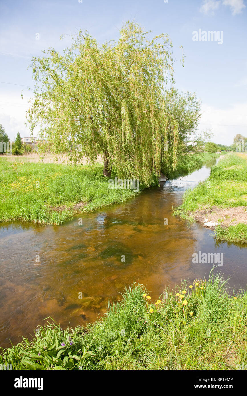 Welna and Nielba river bifurcation in Wagrowiec, Poland Stock Photo - Alamy