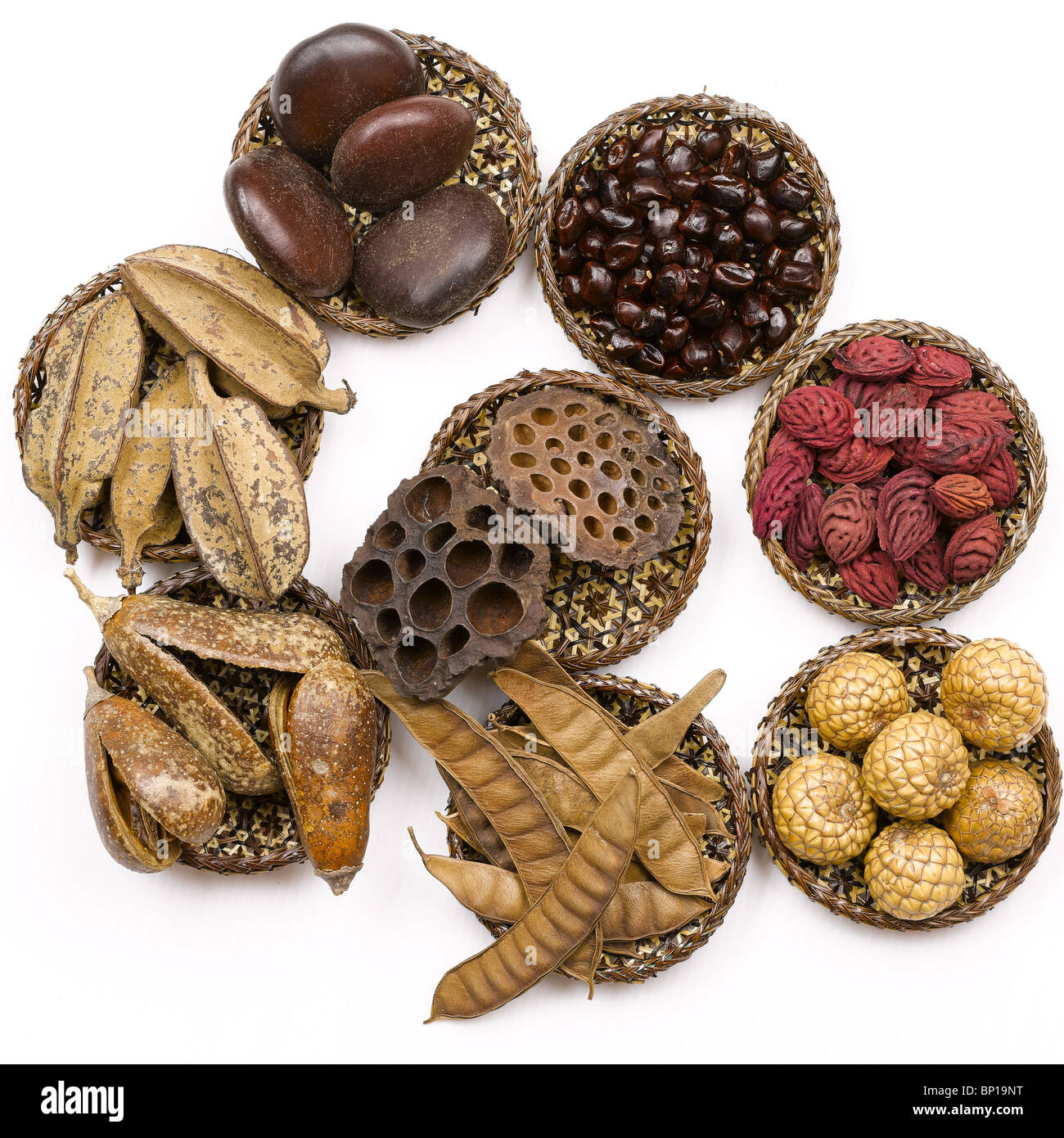 Set of defferent tropical seeds Stock Photo - Alamy