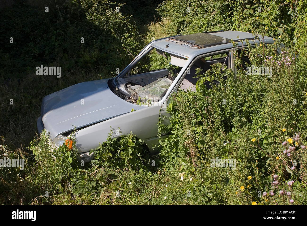 Car wreck landscape hi-res stock photography and images - Alamy