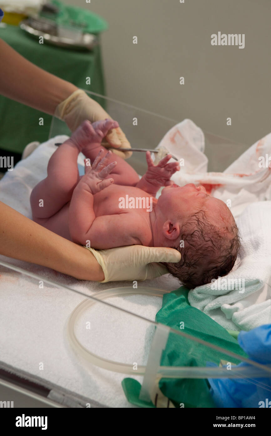 Newborn baby being examined by paediatric doctor Stock Photo - Alamy