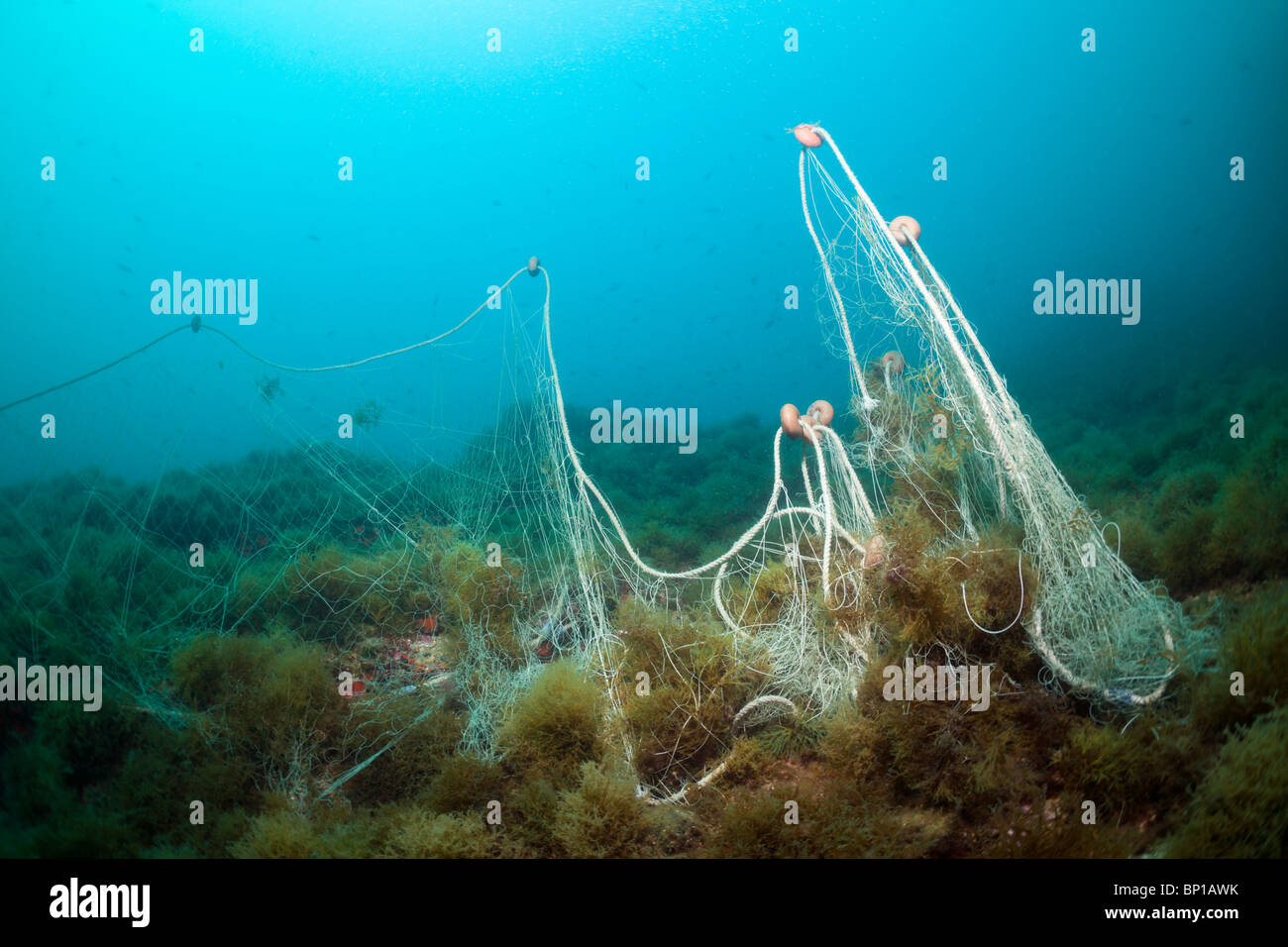 Drag net fishing hi-res stock photography and images - Alamy