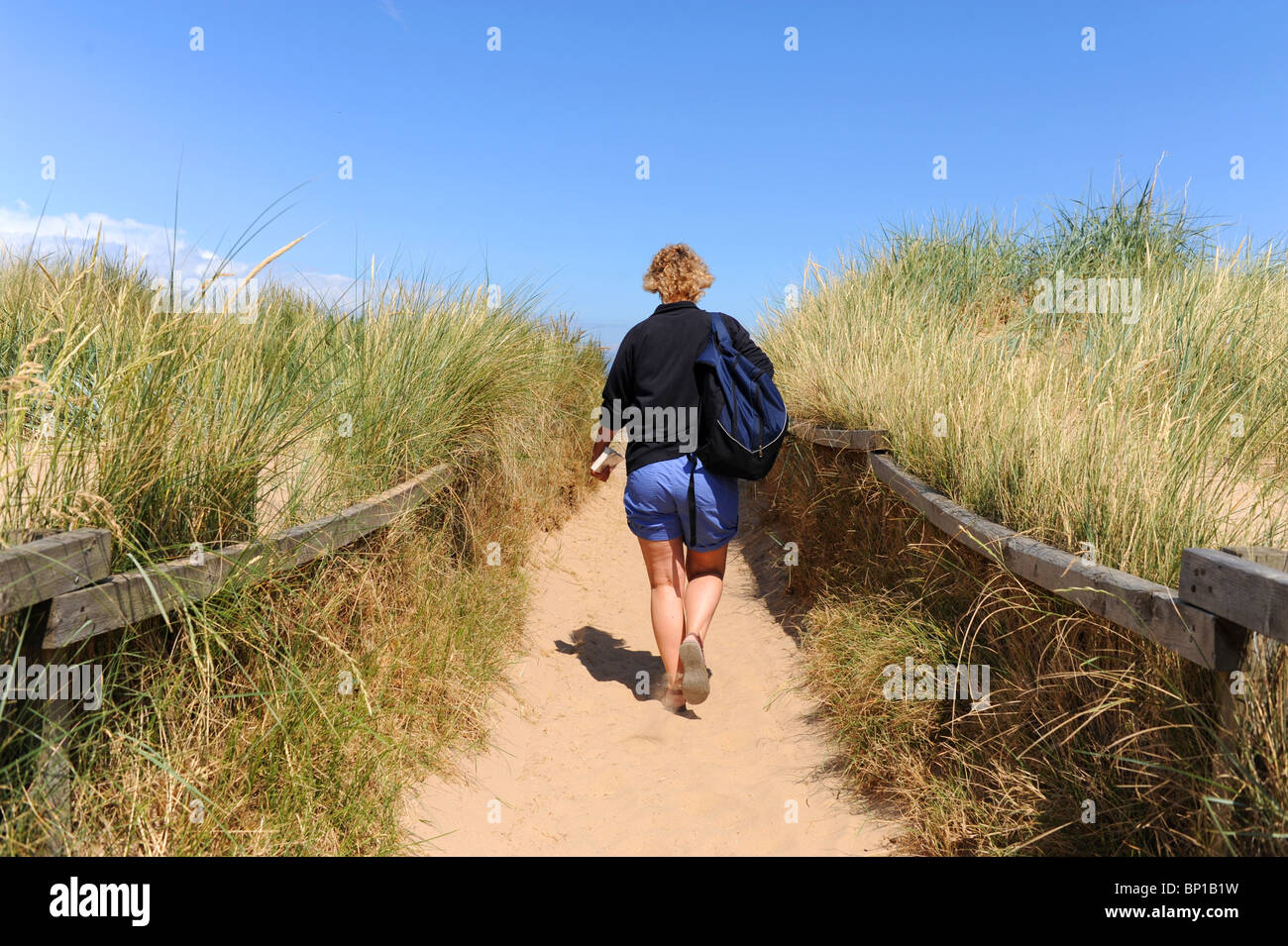 Sand dunes along marsh hi-res stock photography and images - Alamy