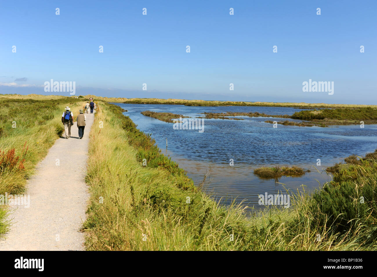 Titchwell rspb bird reserve summer hi-res stock photography and images ...