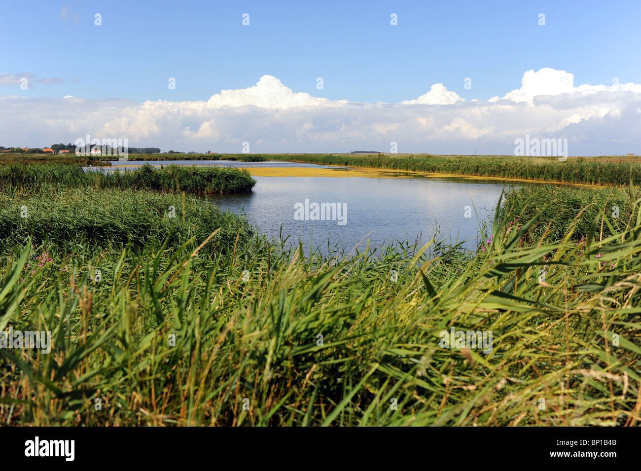 Norfolk titchwell marsh hi-res stock photography and images - Alamy