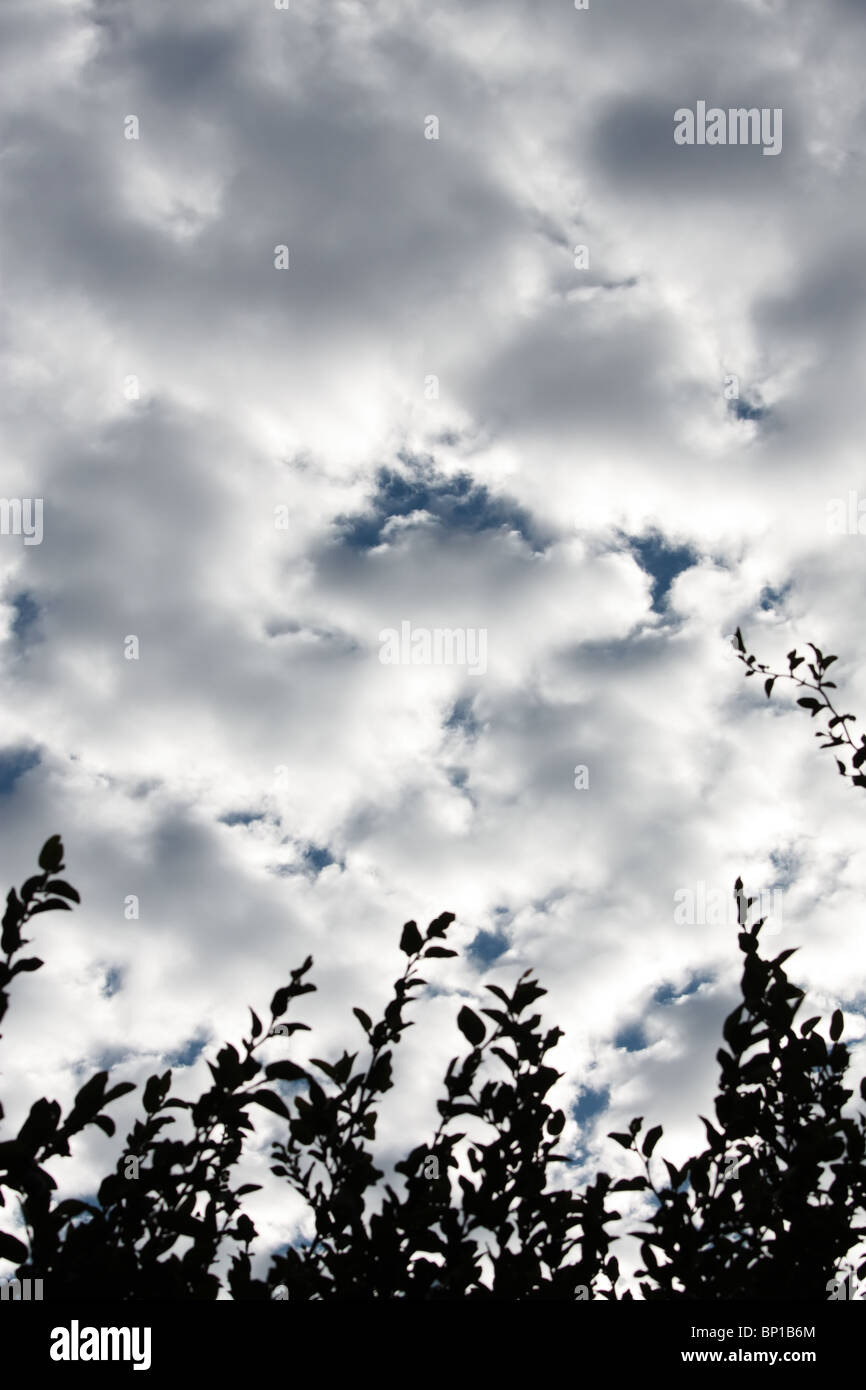 Very thick clouds Stock Photo - Alamy