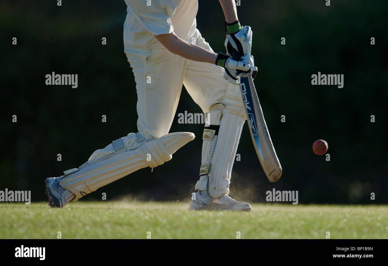 Cricket, batsman in action playing delivery Stock Photo - Alamy