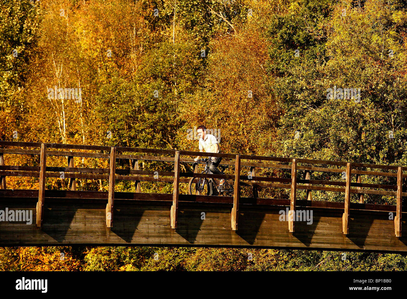 Autumnal colors surround a cyclist as he crosses a footbridge over ...