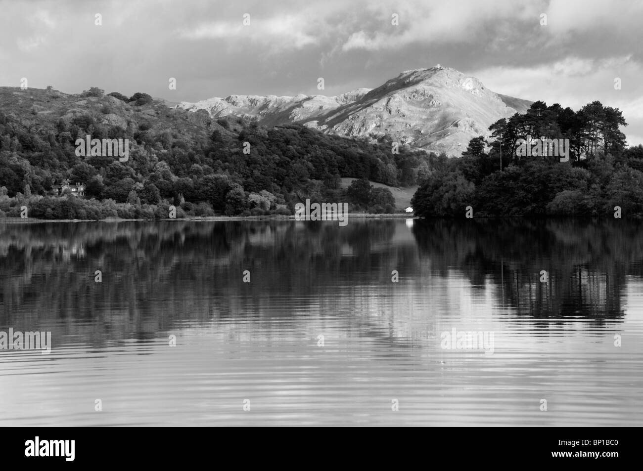 Autumn park on site Black and White Stock Photos & Images - Alamy