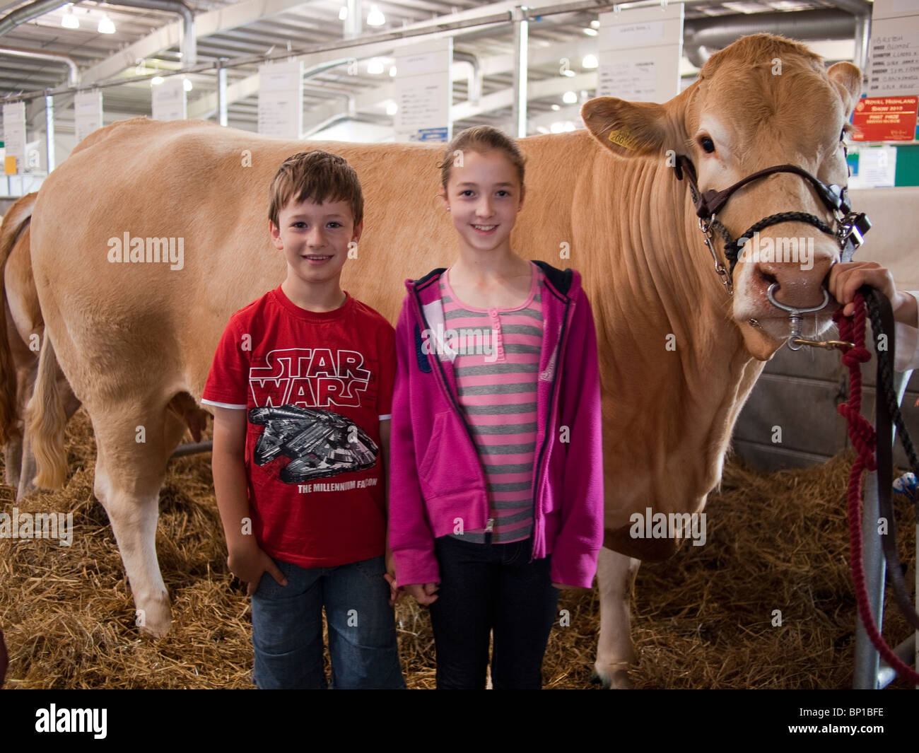 Children show cow hi-res stock photography and images - Alamy
