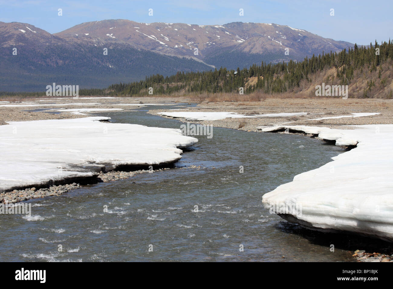 Denali National Park in Spring Stock Photo - Alamy