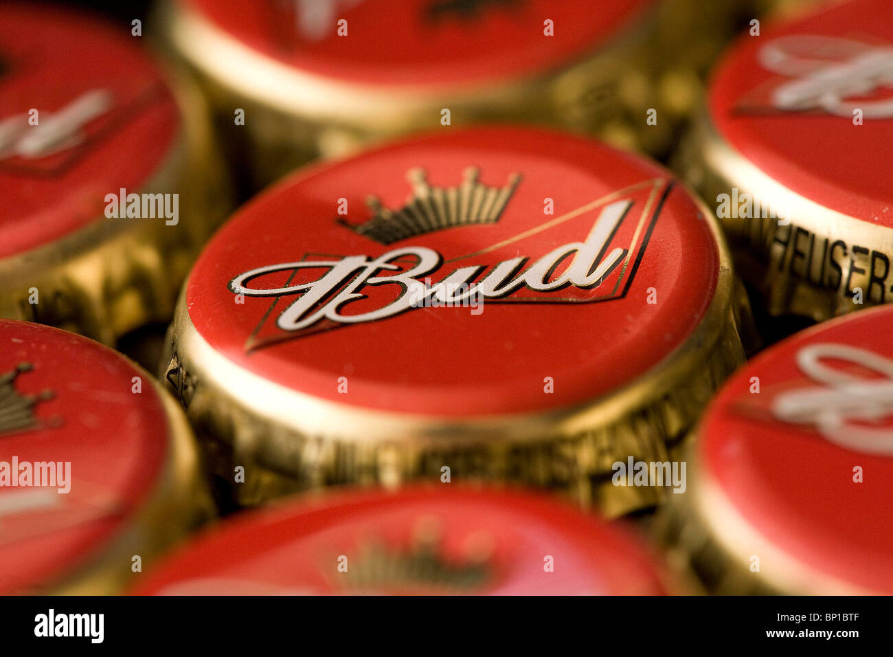 Budweiser beer bottle close up hi-res stock photography and images - Alamy