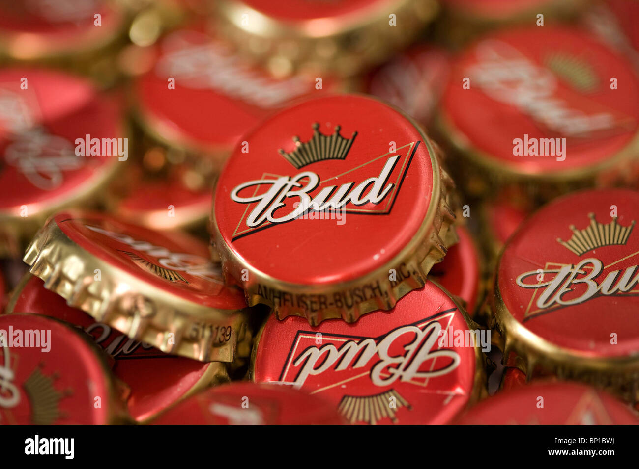 Budweiser beer bottle close up hi-res stock photography and images - Alamy