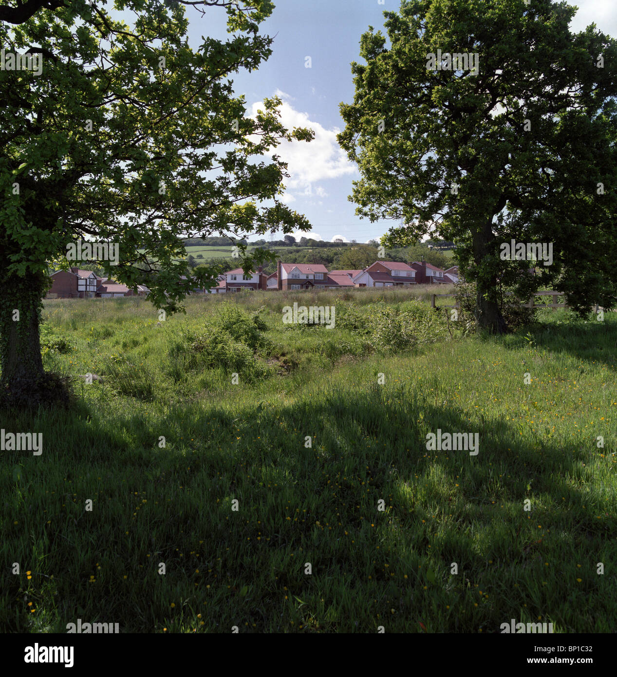 Modern Housing Development in a Rural Setting Stock Photo - Alamy