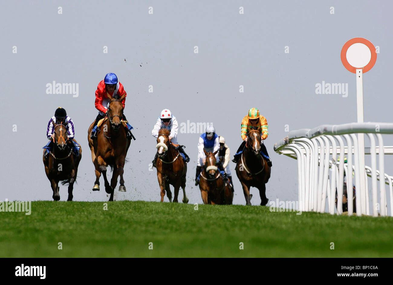 Horse Race Track Finish Line