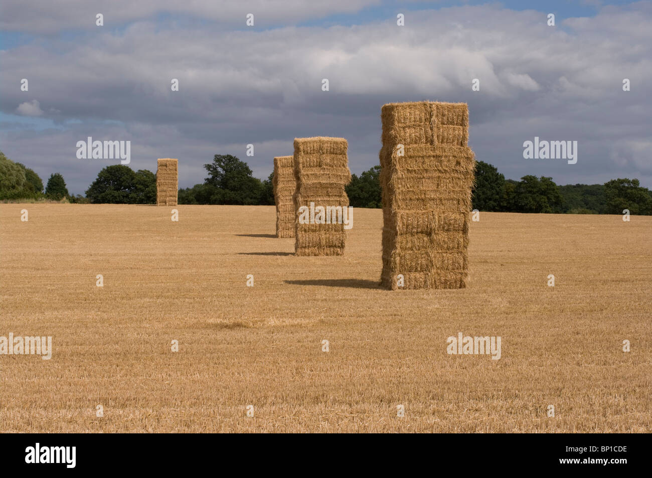 STACKED WHEAT Stock Photo - Alamy