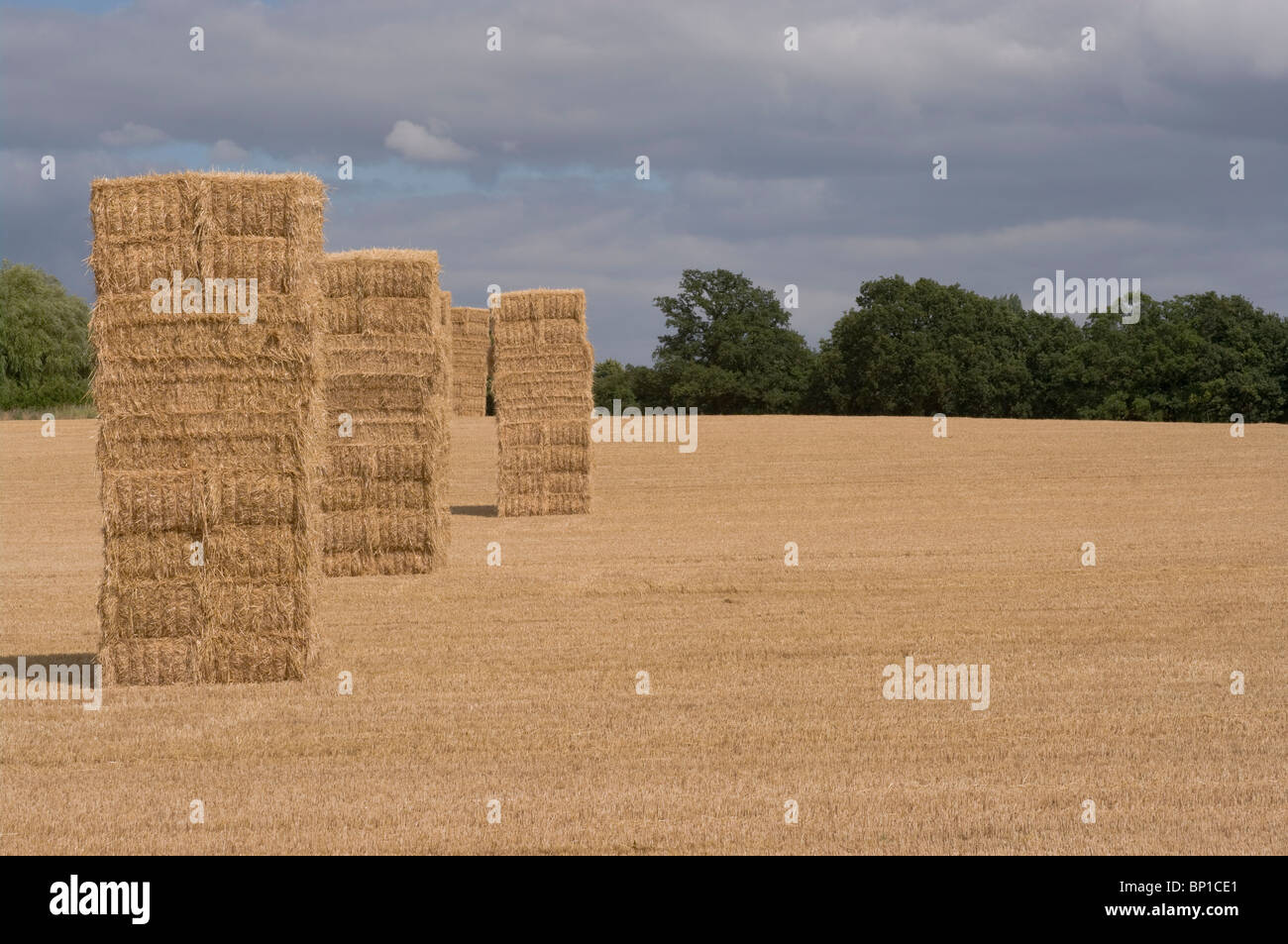 STACKED WHEAT Stock Photo - Alamy