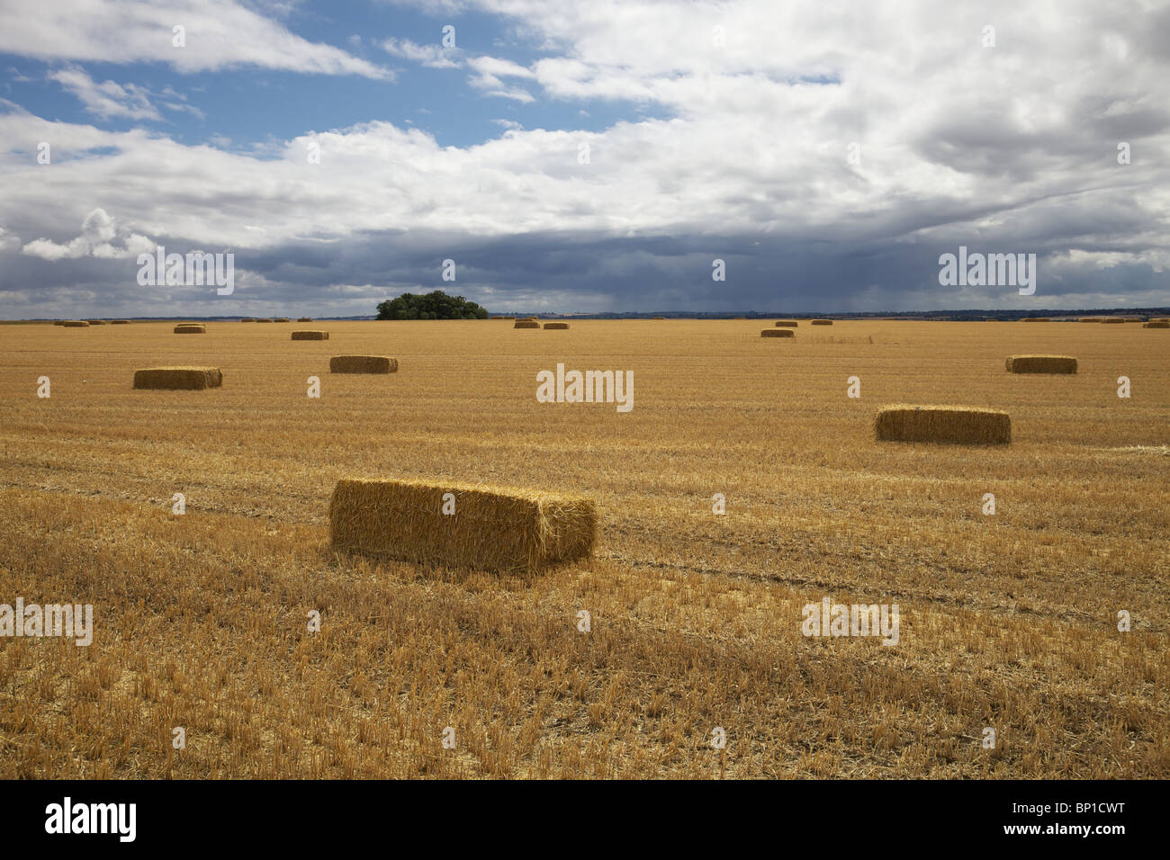Chaff bales hi-res stock photography and images - Alamy