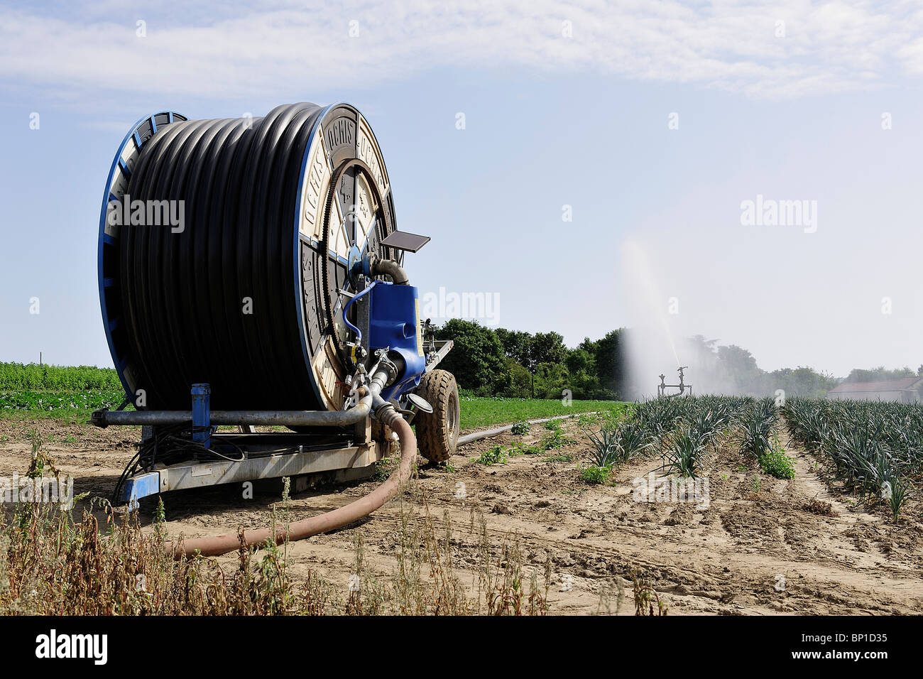 France, field watering Stock Photo - Alamy