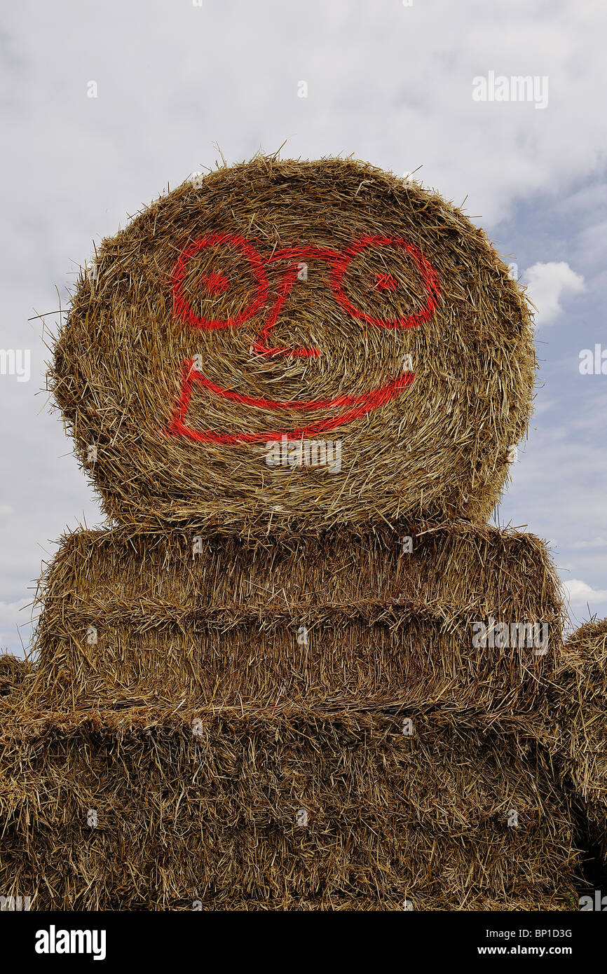 Haystacks with painted smiling face Stock Photo - Alamy