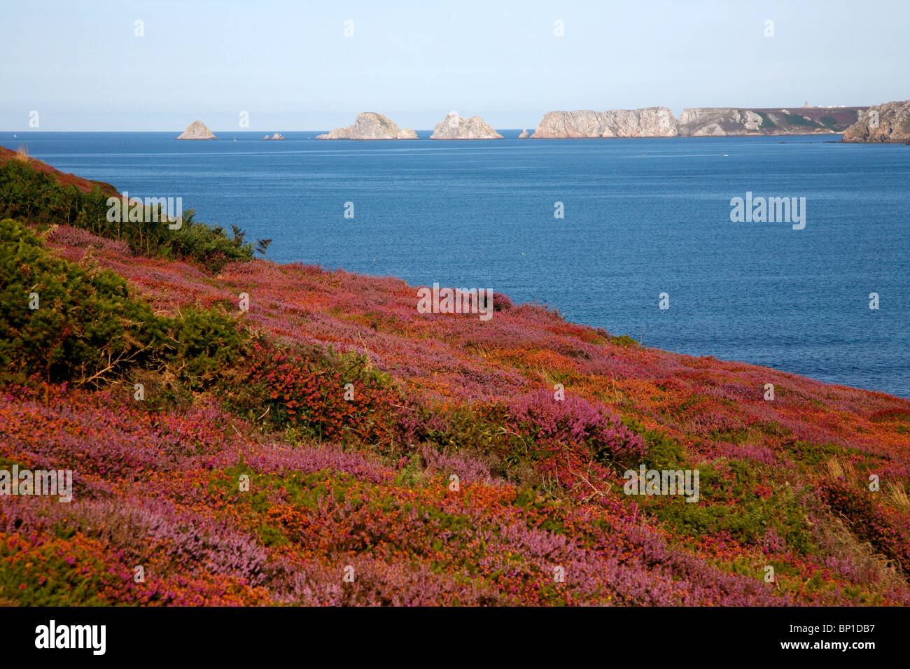 France, Brittany, Finistere (29), Crozon peninsula, Crozon-Morgat bay ...