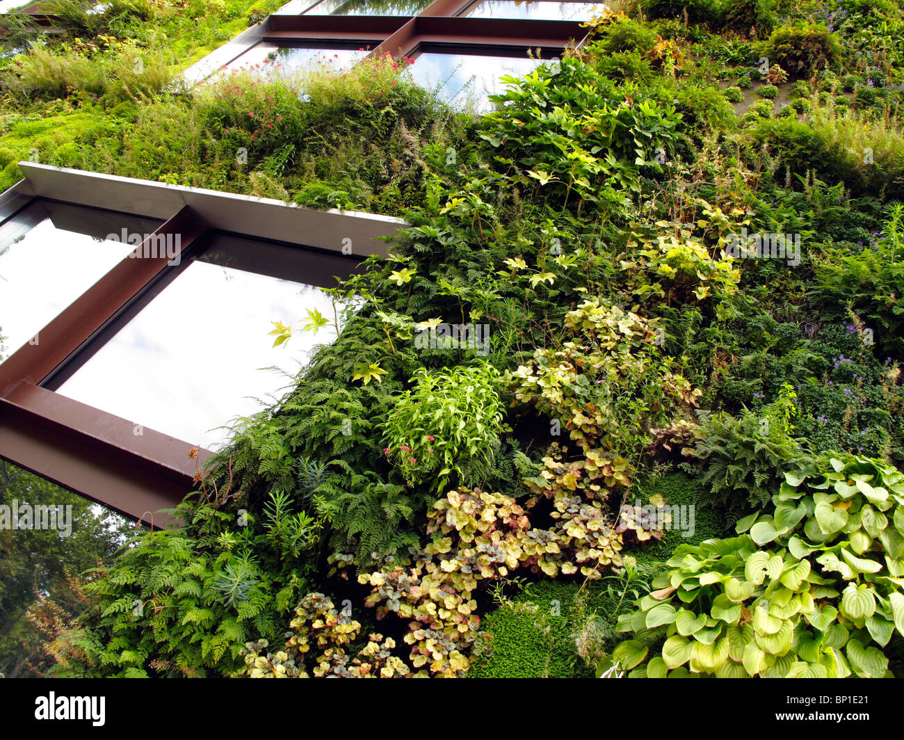 France, Paris, Quai Branly museum, green wall Stock Photo - Alamy