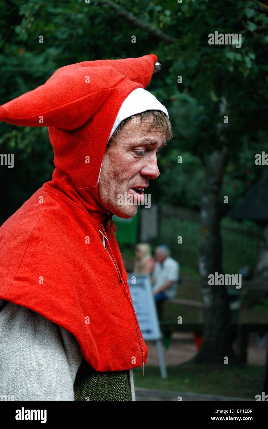 Medieval court jester hi-res stock photography and images - Alamy