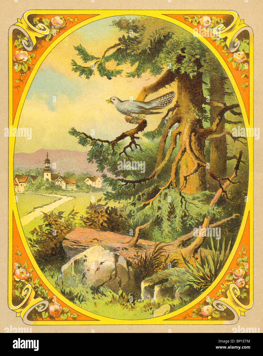 The cuckoo an illustration from a children's picture book Stock Photo ...