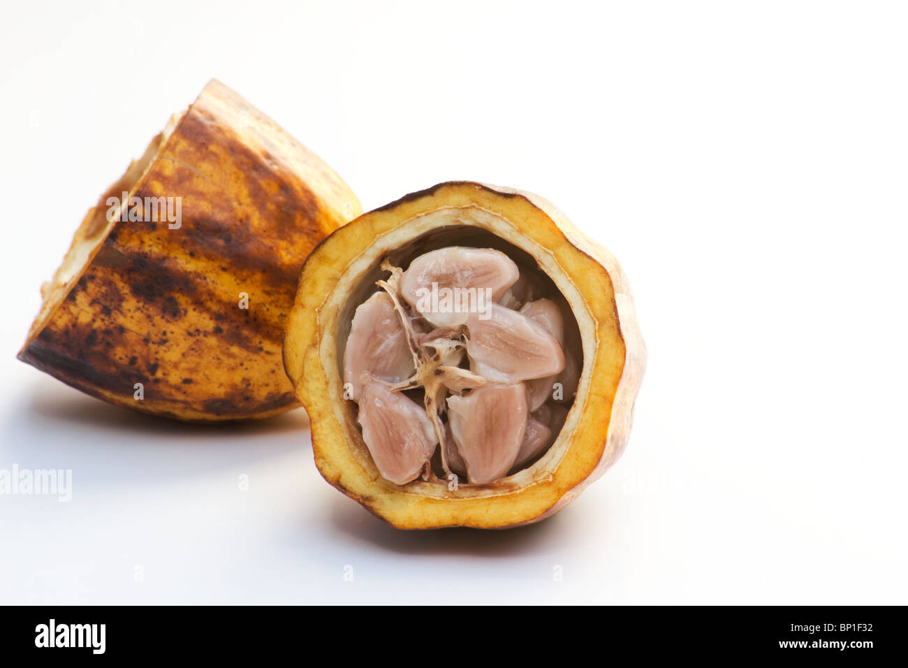 Theobroma cacao pod cut in halves on white backgroundground Stock Photo ...