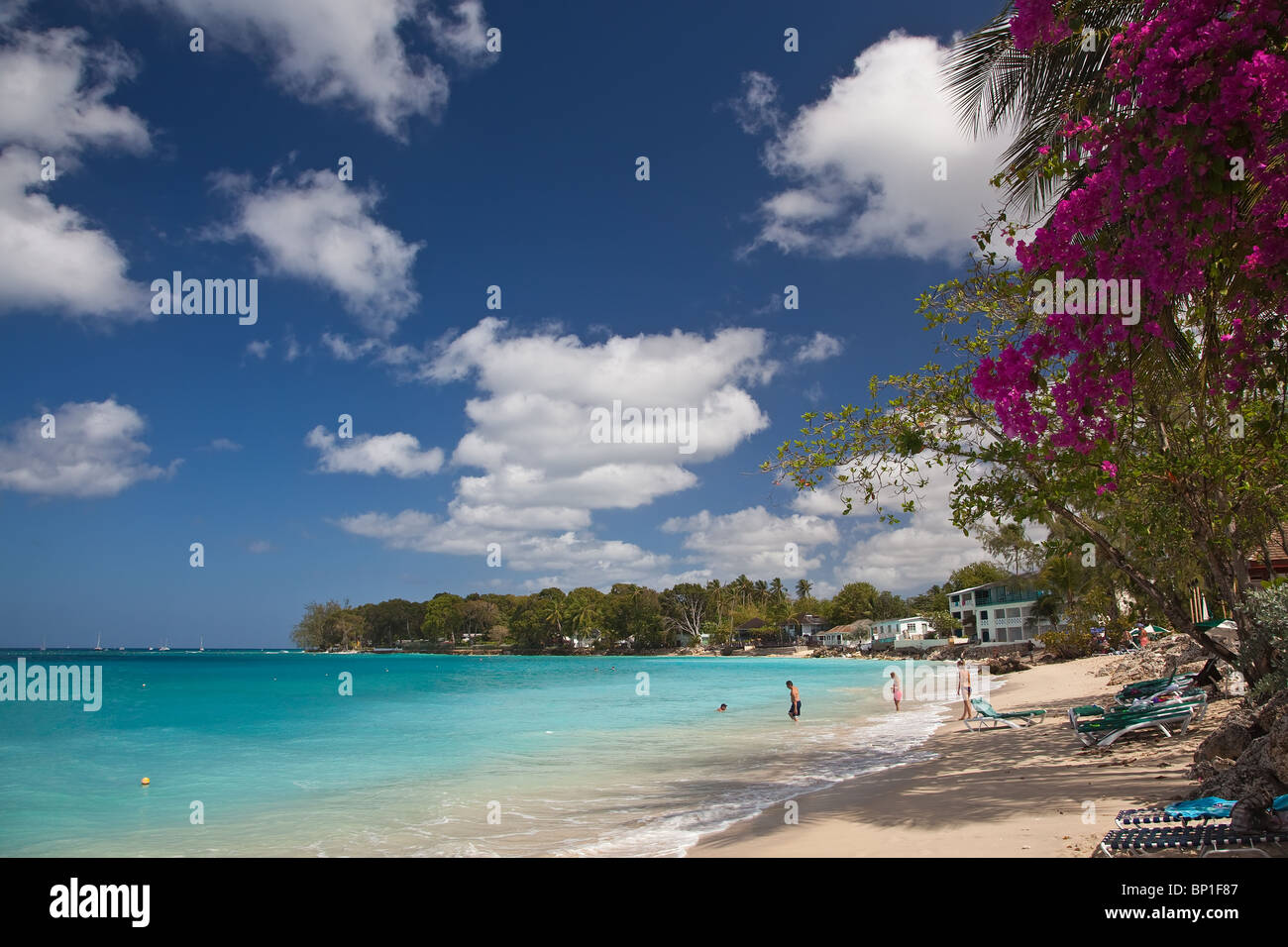 Platinum Coast, St James, West Coast, Barbados, Beach, Caribbean, West ...