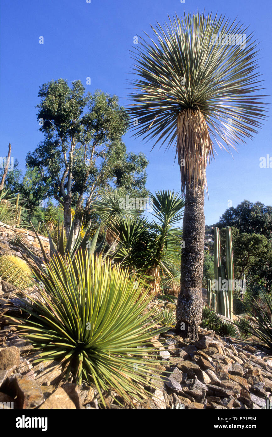 France, Provence Alpes-Cote-d'azur, Var (83), Rayol Canadel sur mer ...