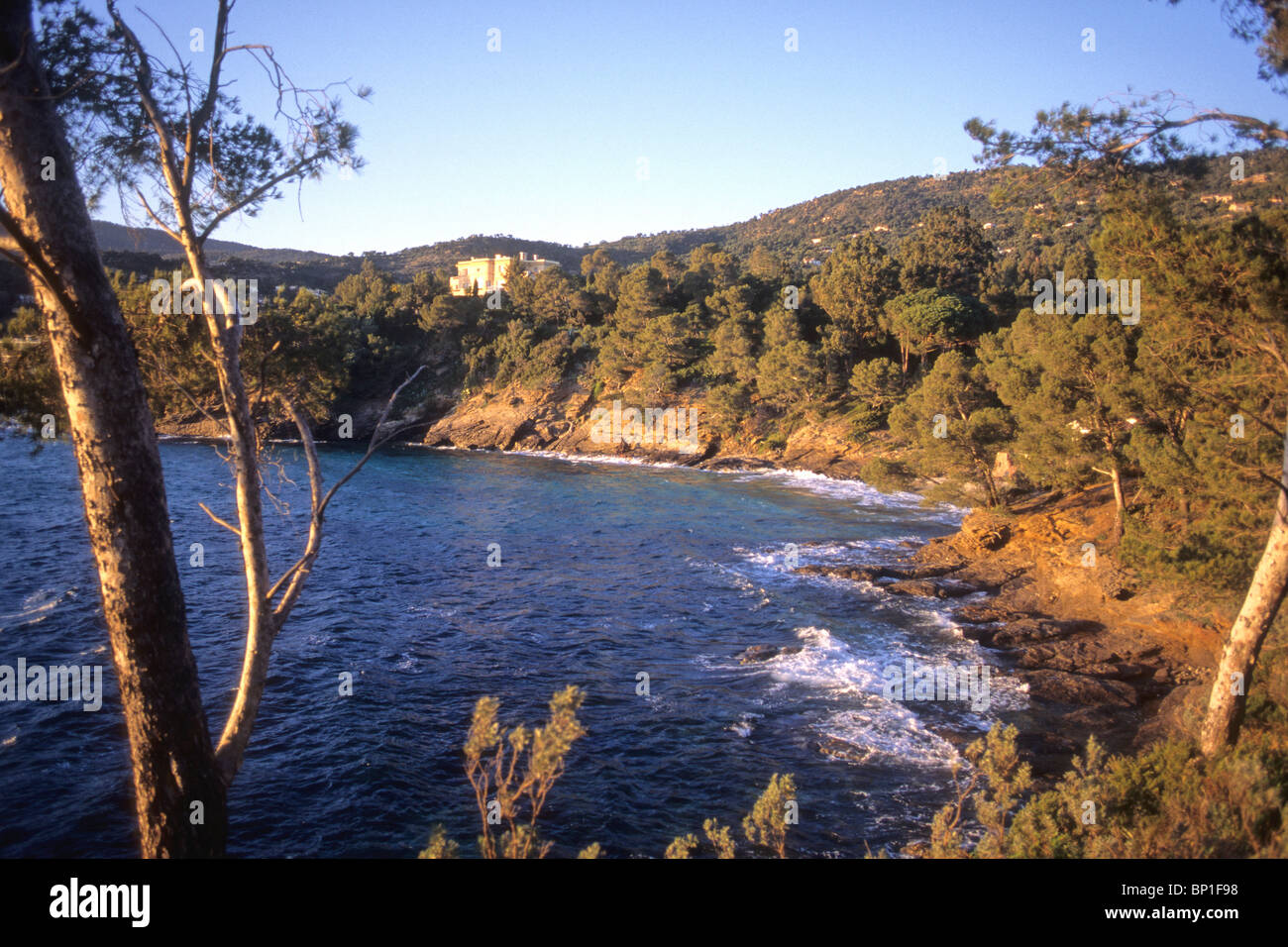 France, Provence Alpes-Cote-d'azur, Var (83), Rayol Canadel sur mer ...