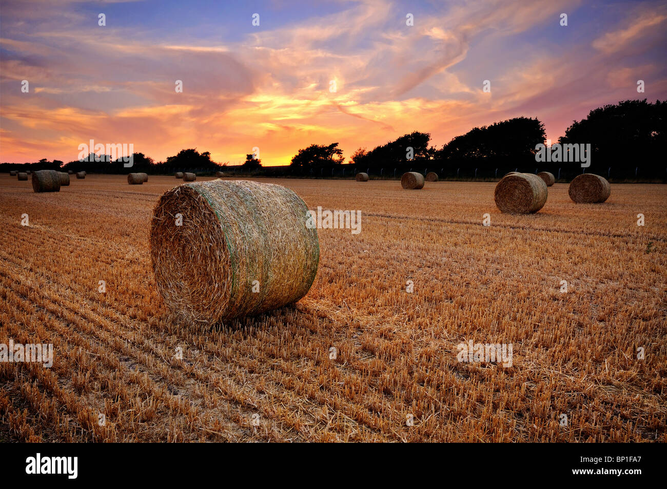 Christchurch Hay Field Stock Photo - Alamy