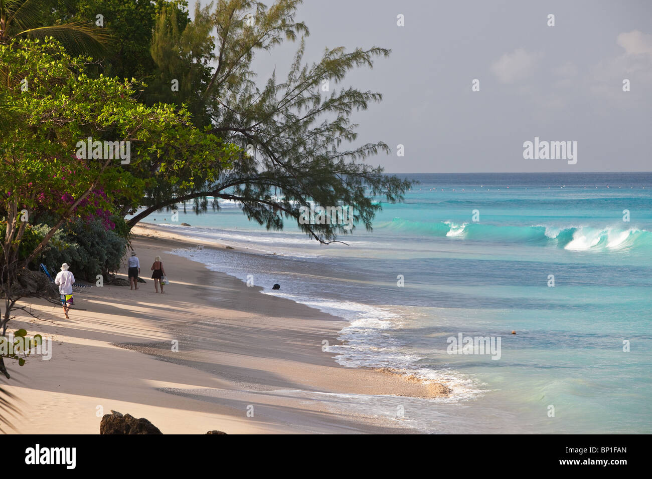 Platinum Coast, St James, West Coast, Barbados, Beach, Caribbean, West ...