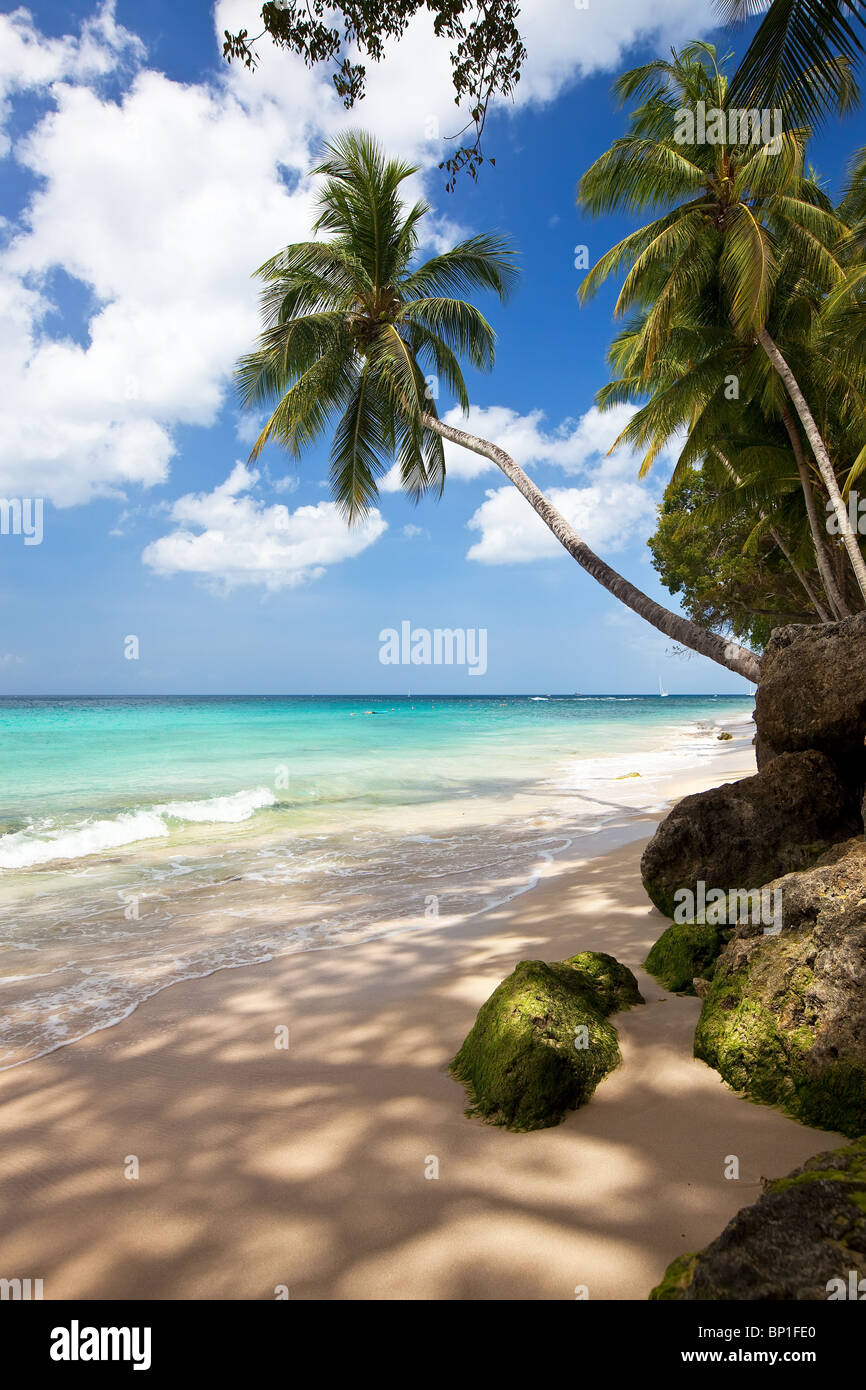 Platinum Coast, St James, West Coast, Barbados, Beach, Caribbean, West ...