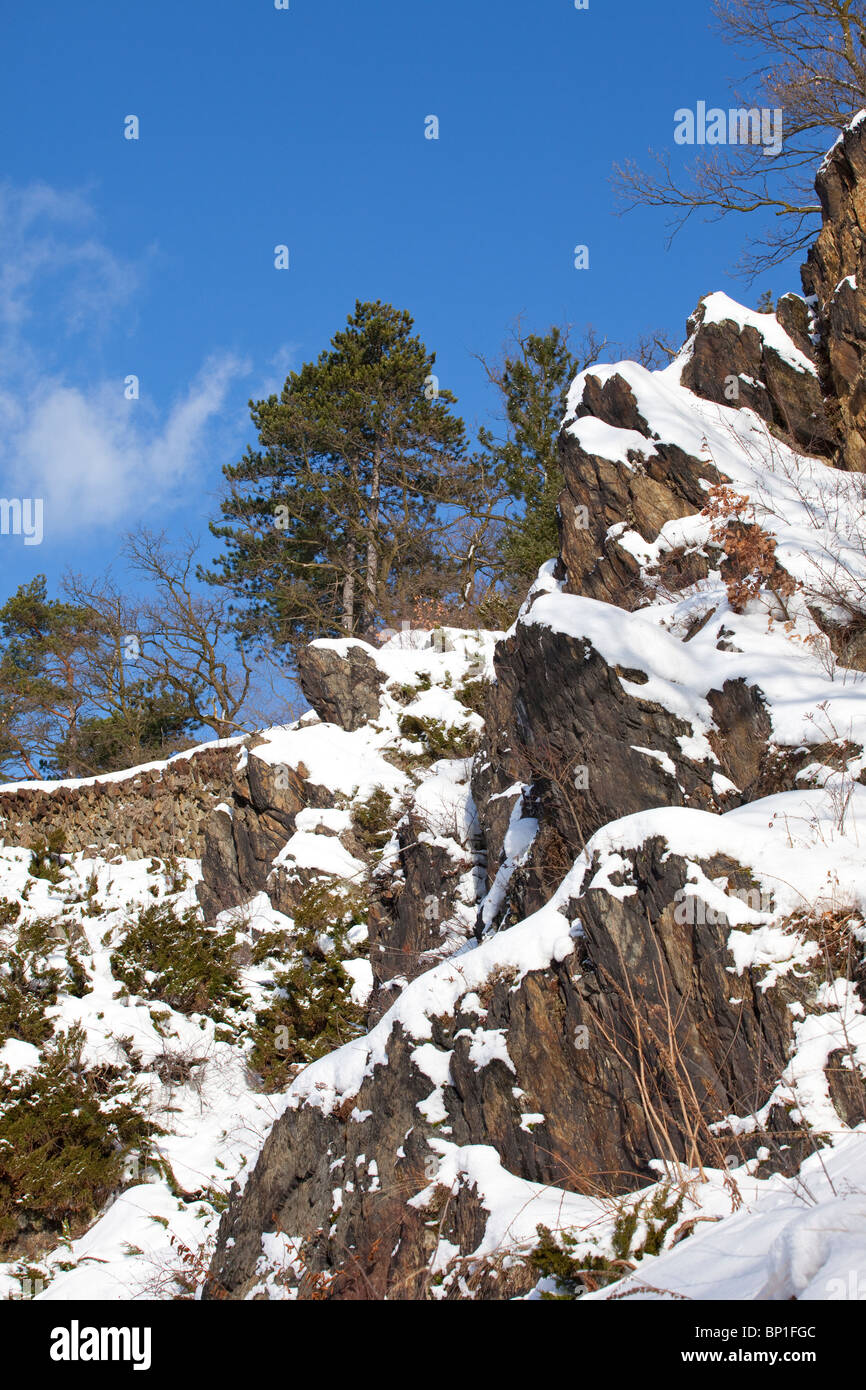 Blue pine wilderness hi-res stock photography and images - Alamy