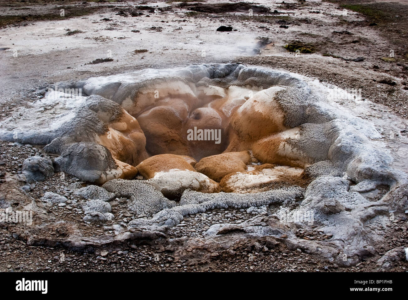 Geyser, Biscuit Basin, Yellowstone National Park, Wyoming,USA Stock ...
