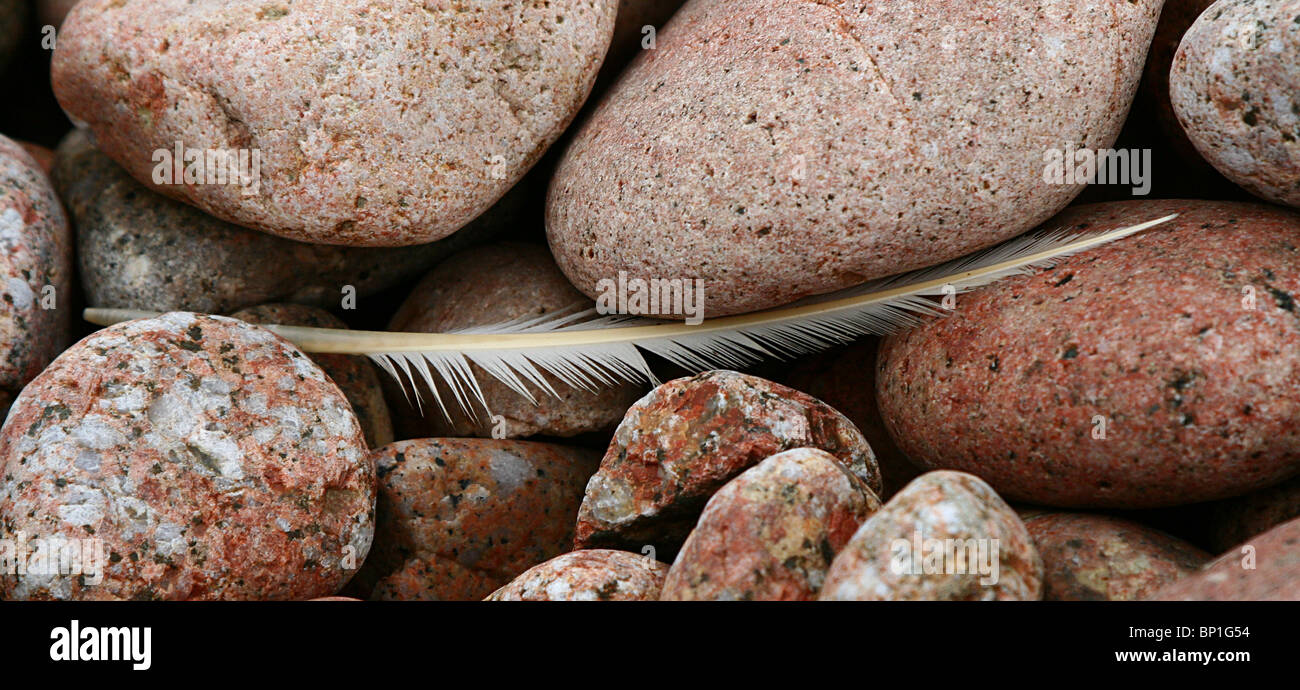 Feather on rock hi-res stock photography and images - Alamy