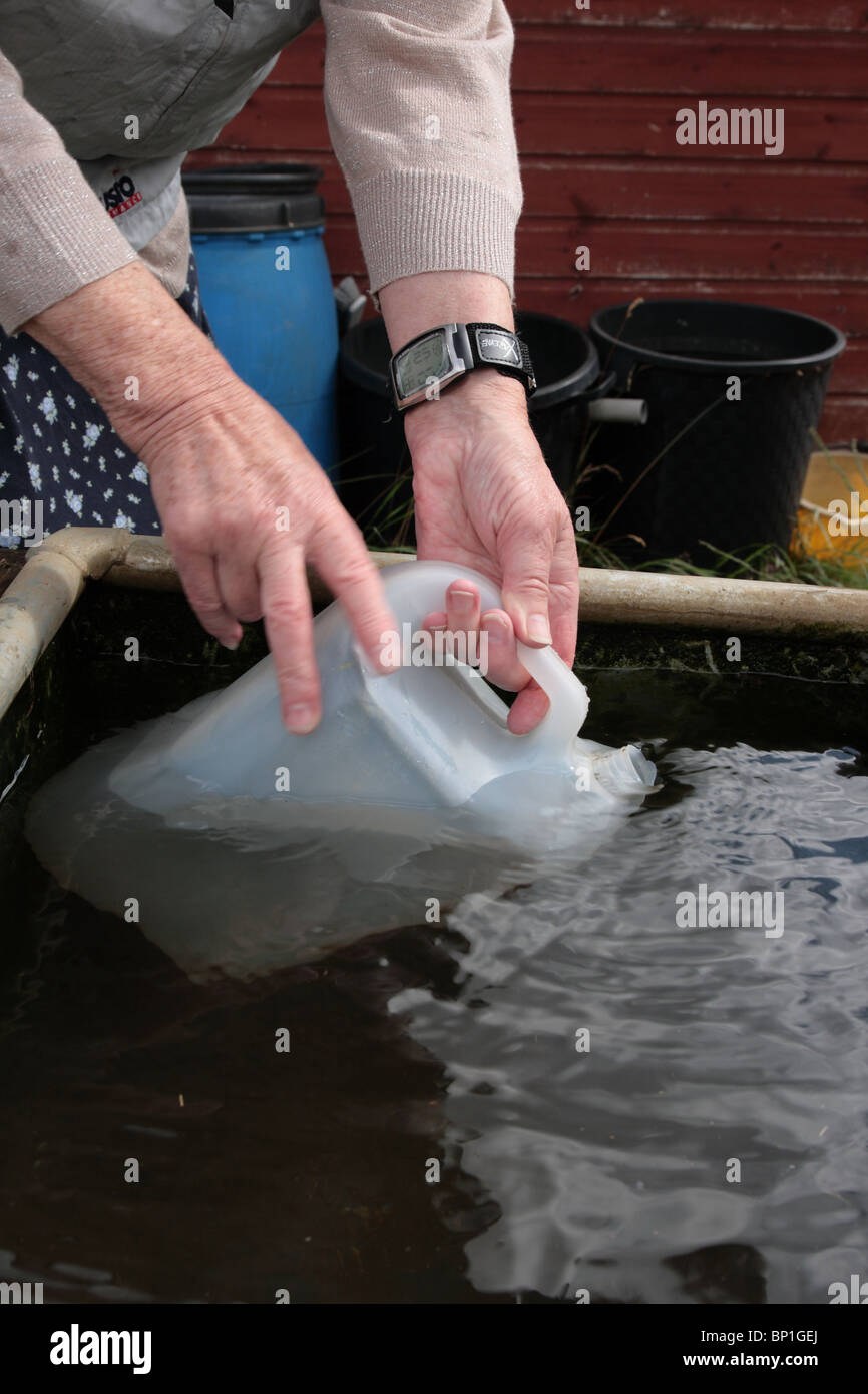 Dipping trough hi-res stock photography and images - Alamy