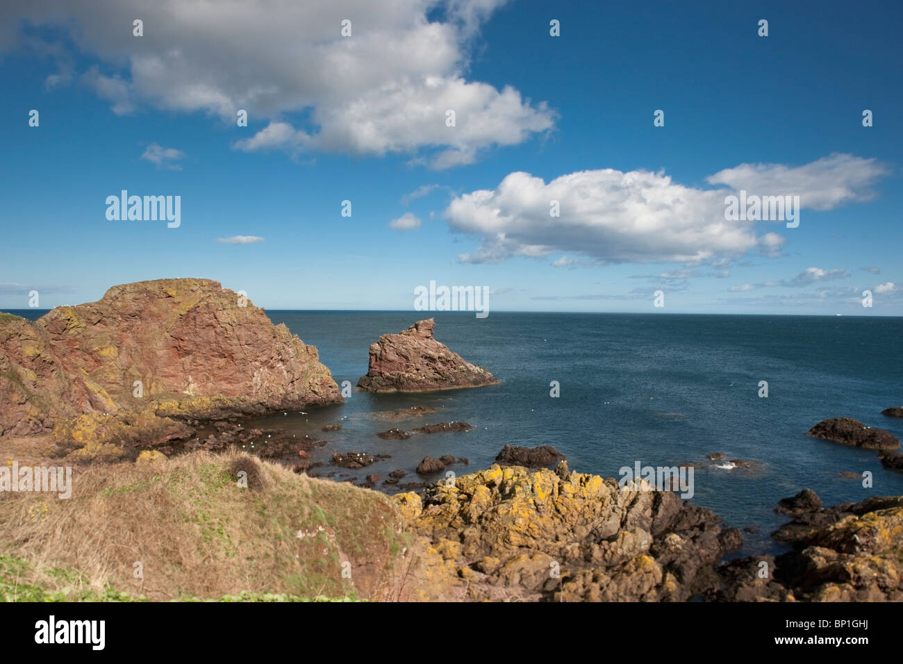 Coldingham, Scottish Borders, Scotland; A Rocky Shoreline Stock Photo ...