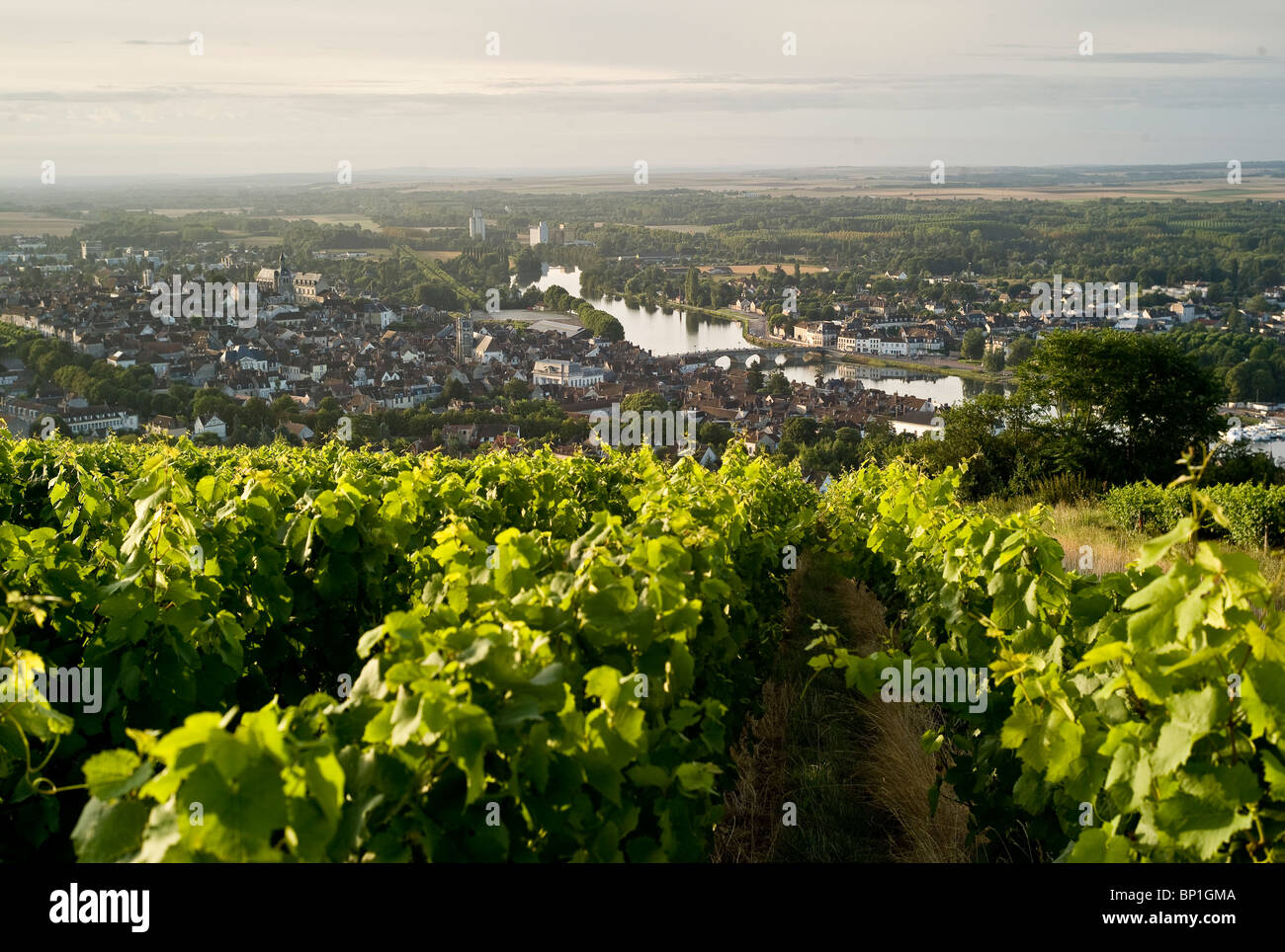 France, Burgundy, Yonne, Joigny, general view, vineyards Stock Photo ...