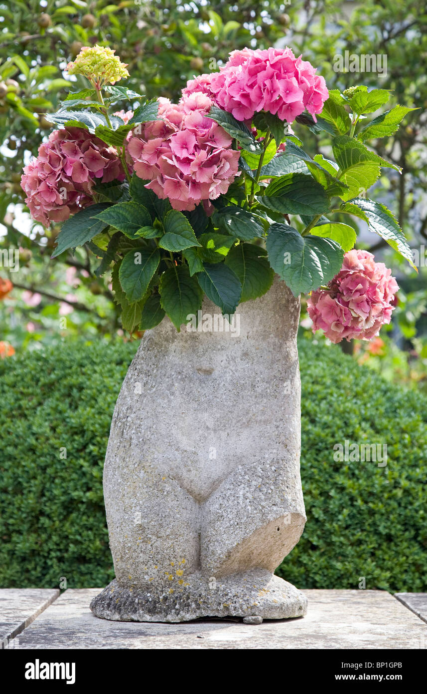 Hydrangeas flowers on display in a statue in the garden at Charleston ...