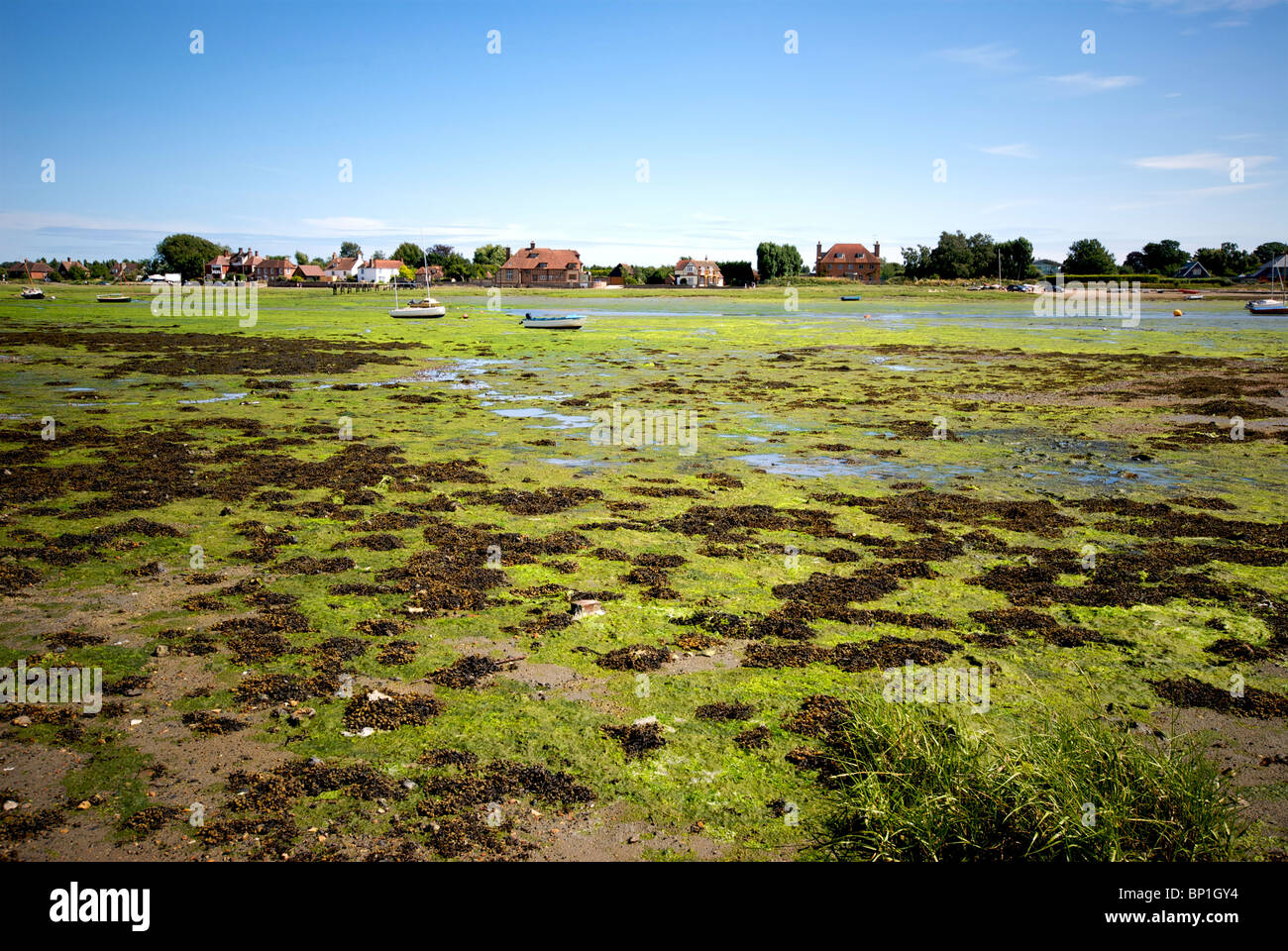 Bosham West Sussex UK Foreshore Harbor Harbour Channel Stock Photo - Alamy