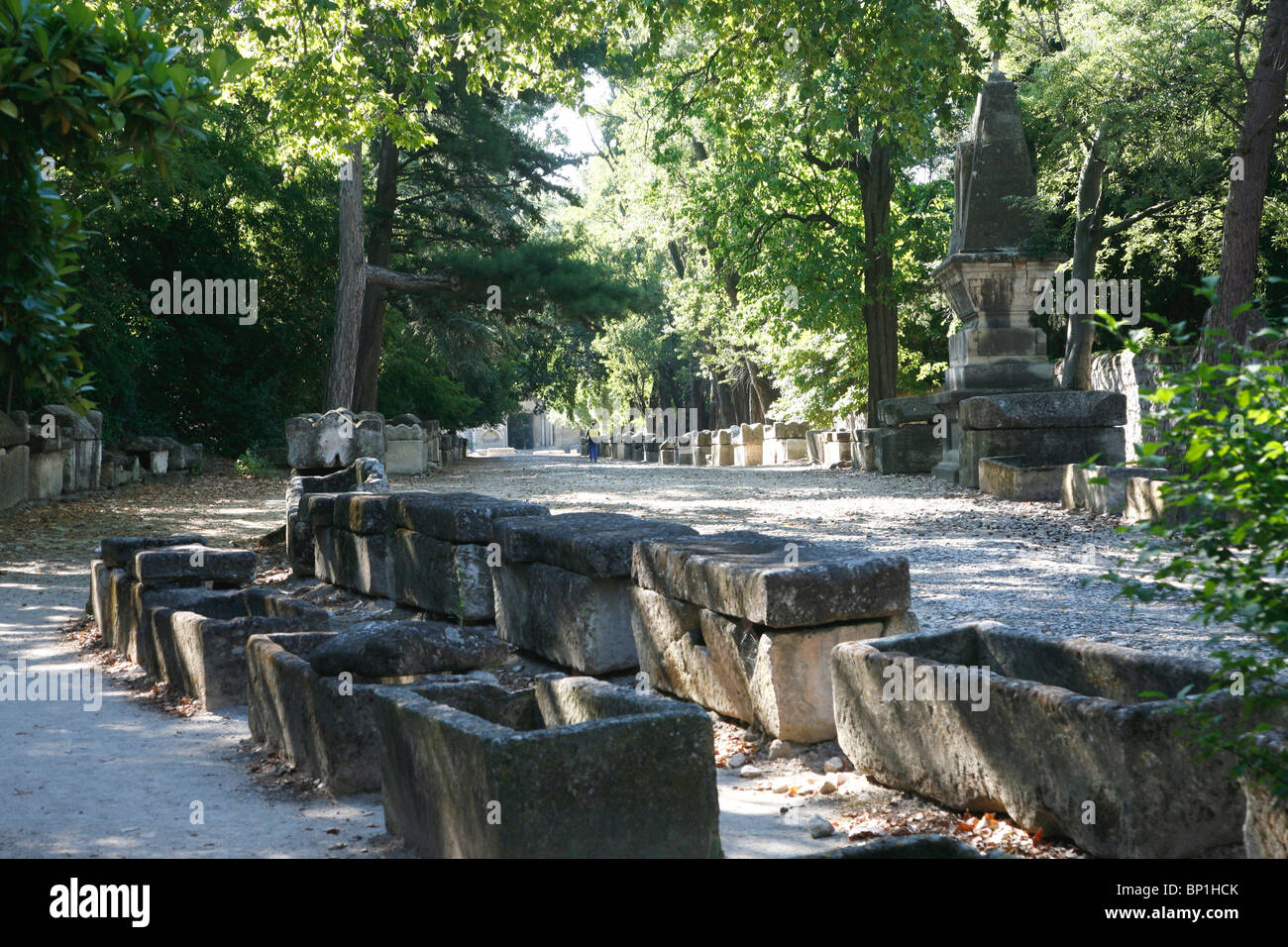 France, Provence Alpes Cote D'Azur, Bouches du Rhône (13), Arles, les ...