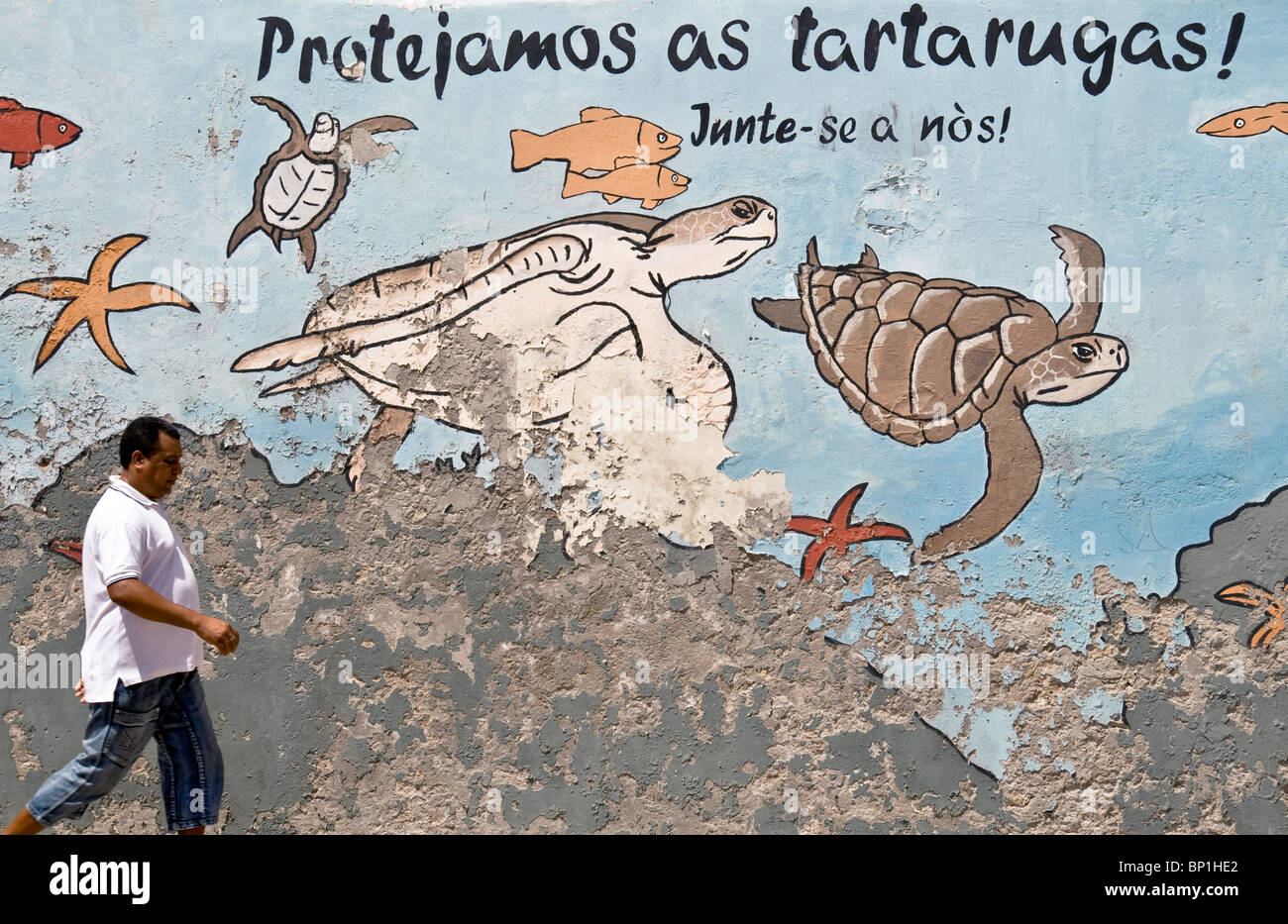 Turtle Rock Island High Resolution Stock Photography and Images - Alamy