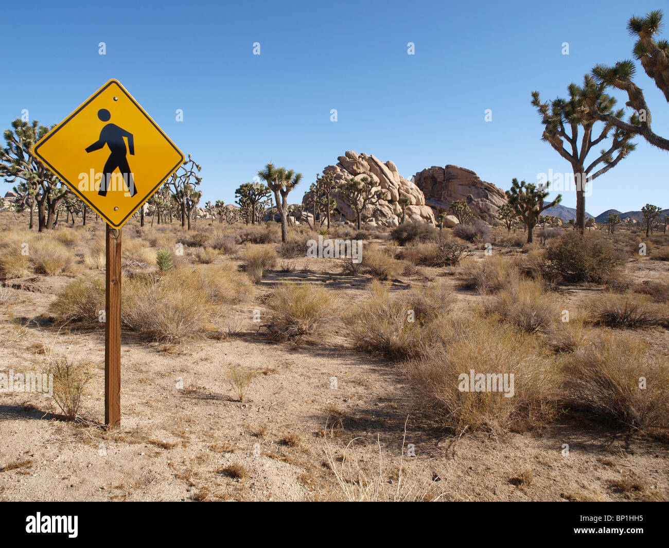 Pedestrian crossing sign in the middle of California's Joshua Tree ...