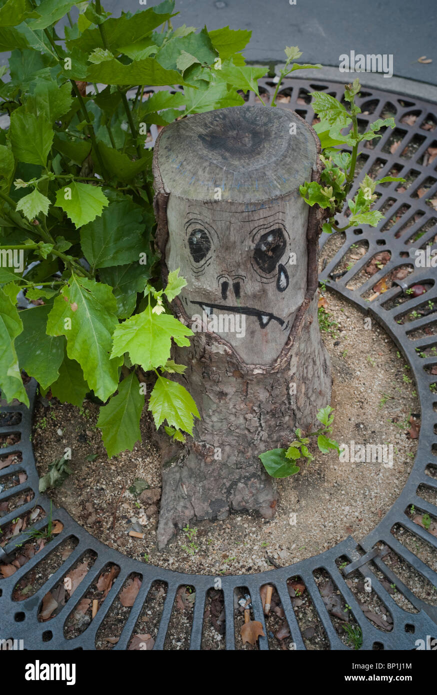 Painted face on a tree stump Stock Photo - Alamy